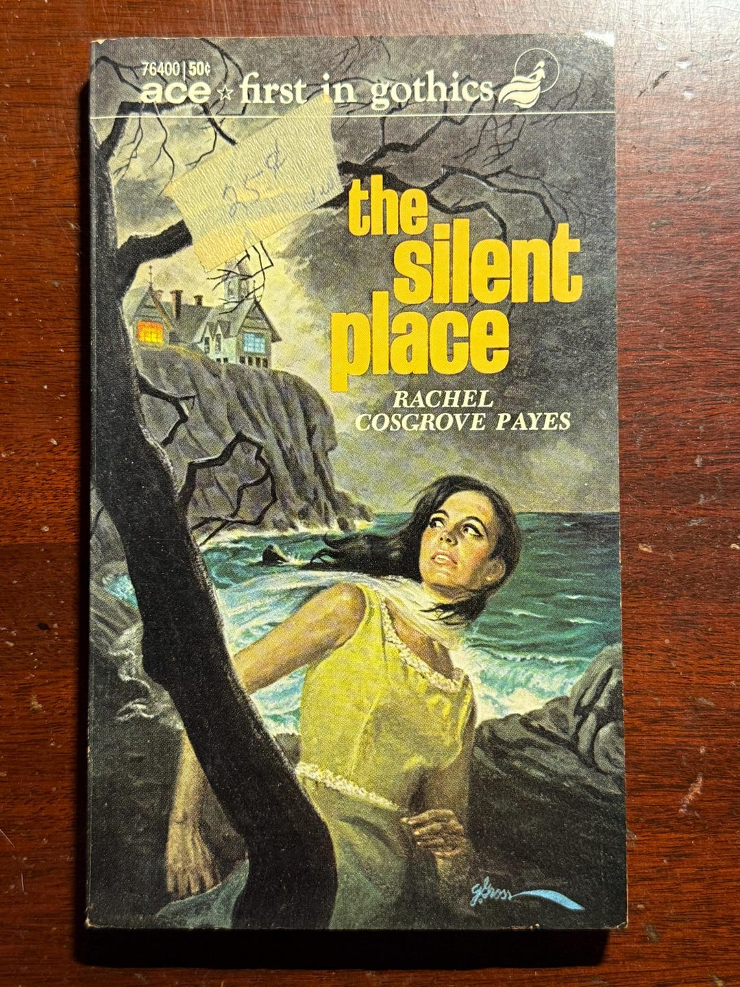 The Silent Place Rachel Cosgrove Payes Ace Gothic Horror 1969 1960s ...
