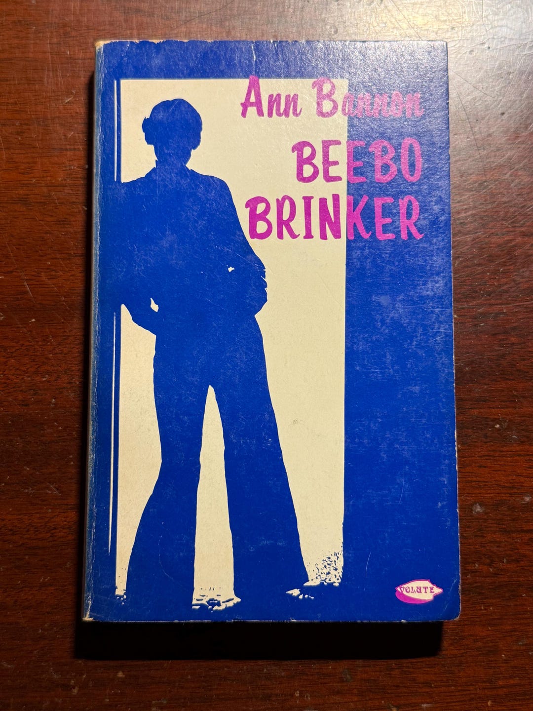 Ann Bannon Beebo Brinker 1983 1980s Vintage Mass Market Paperback Book ...