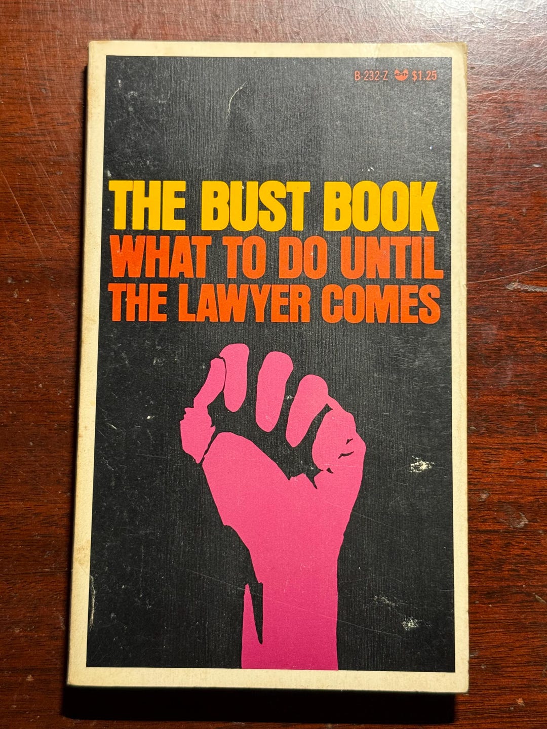 The Bust Book Grove Press Kathy Boudin 1970 1970s Vintage Mass Market ...