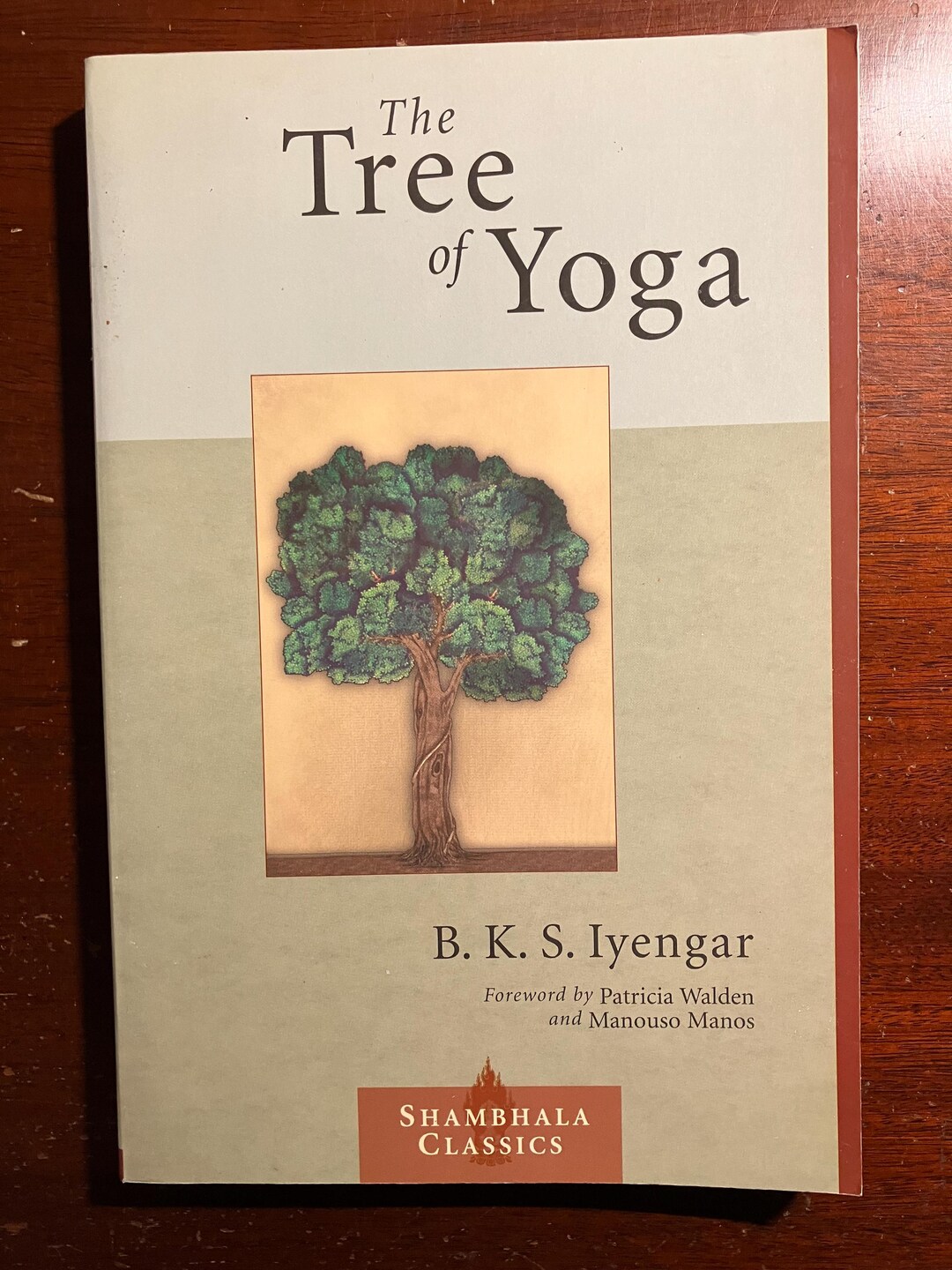 The Tree of Yoga B K S Iyengar Shambhala Classics 2002 2000s Vintage ...