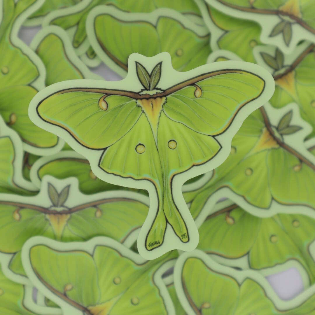 Luna Moth - Glow in the Dark Vinyl Sticker - Original Artwork ...