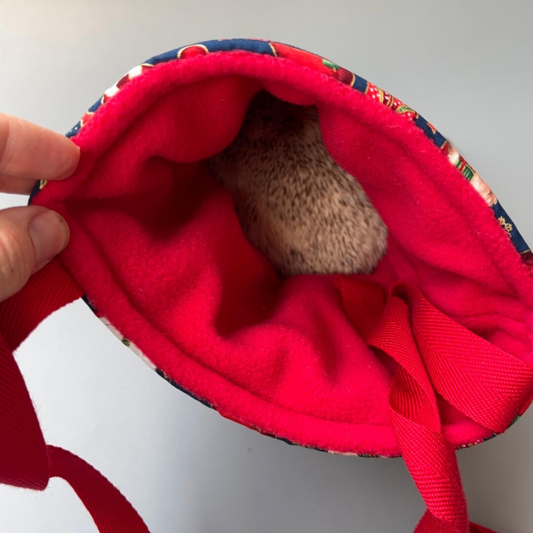 Christmas Padded Bonding Bag, Carry Bag for Hedgehog. Fleece Lined Pet ...