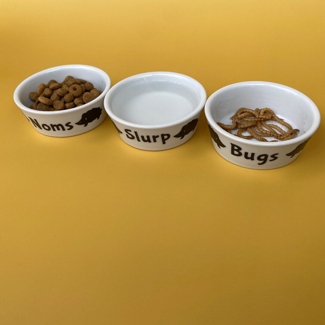 Ceramic Hedgehog Food, Water and Treat Bowls. Hedgehog Noms, Slurp and ...