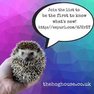 Santa Hat Bonding Scarf for Hedgehogs and Small Pets. Bonding Pouch ...