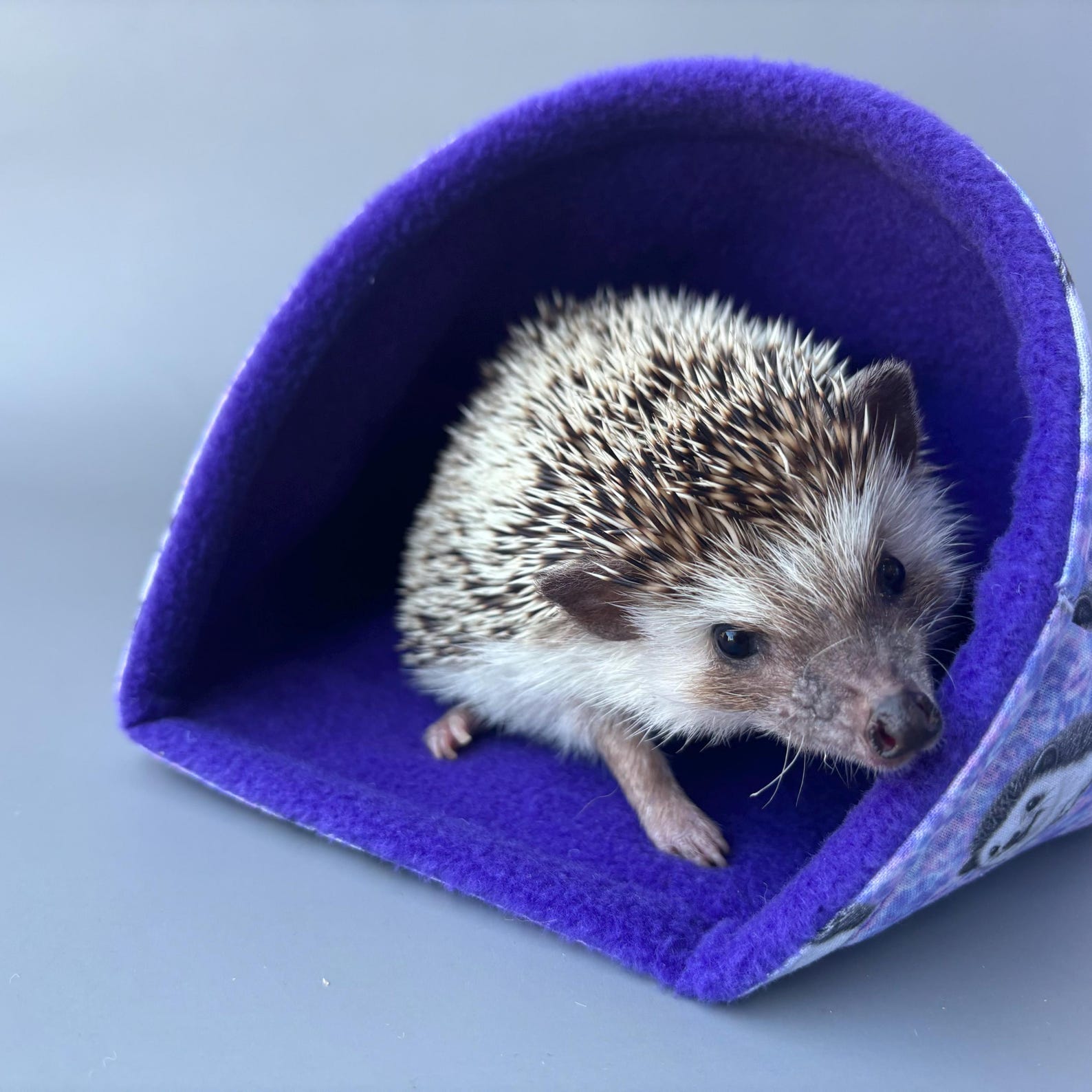 Happy Quills Mini Set. Tunnel, Snuggle Sack and Toys. Fleece Bedding ...