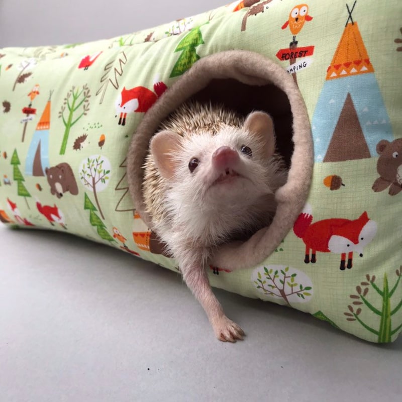 Hedgehog Accessories - Etsy