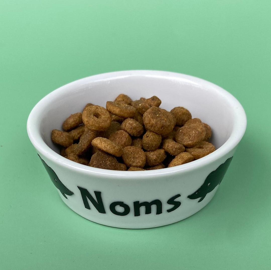 Ceramic Hedgehog Food Bowl. Noms Bowl for Small Pets. White Hedgehog ...