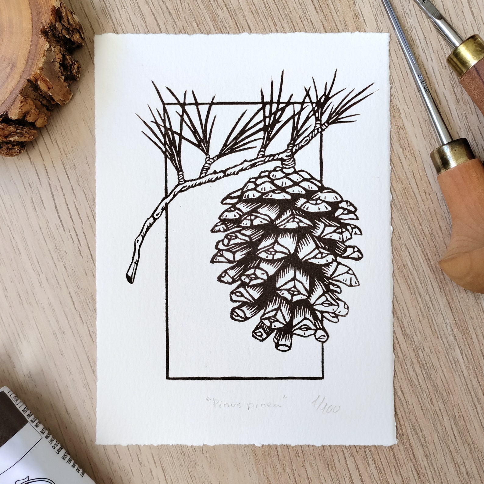 Linocut of Pine Hand Stamped, Original Linocut Limited to 100 Copies ...