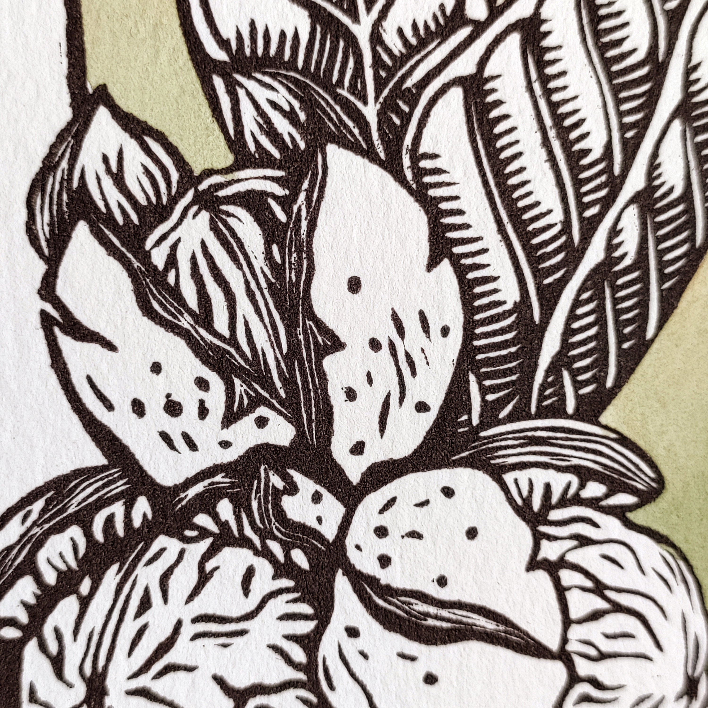 Linocut of nuts hand stamped, original linocut limited to 100 copies ...