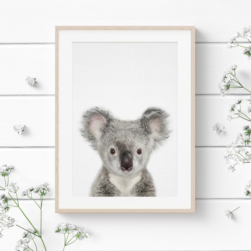 Koala Bear Baby - Etsy