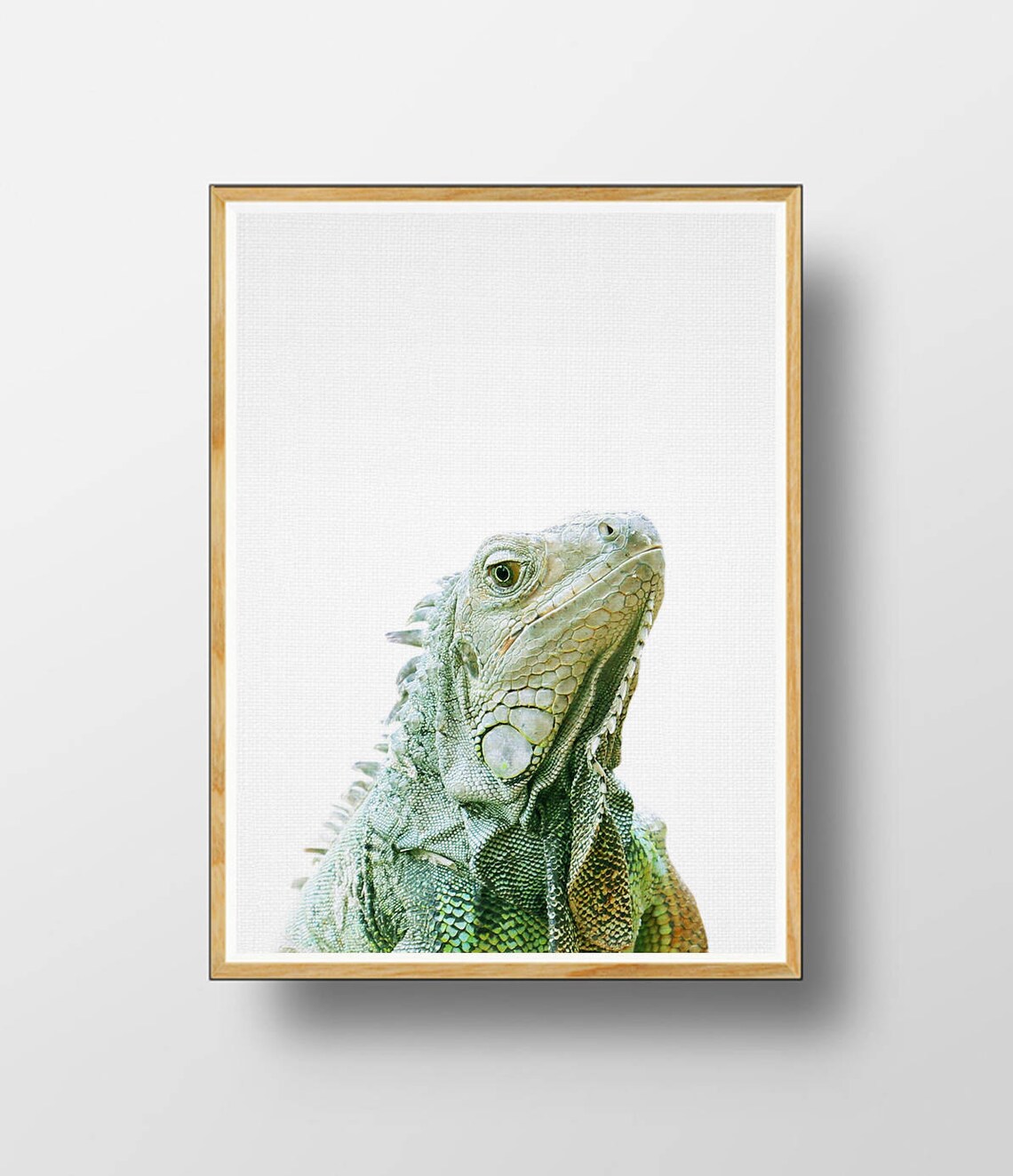 Iguana Print Iguana Wall Art Lizard Print Lizard Wall Art | Etsy