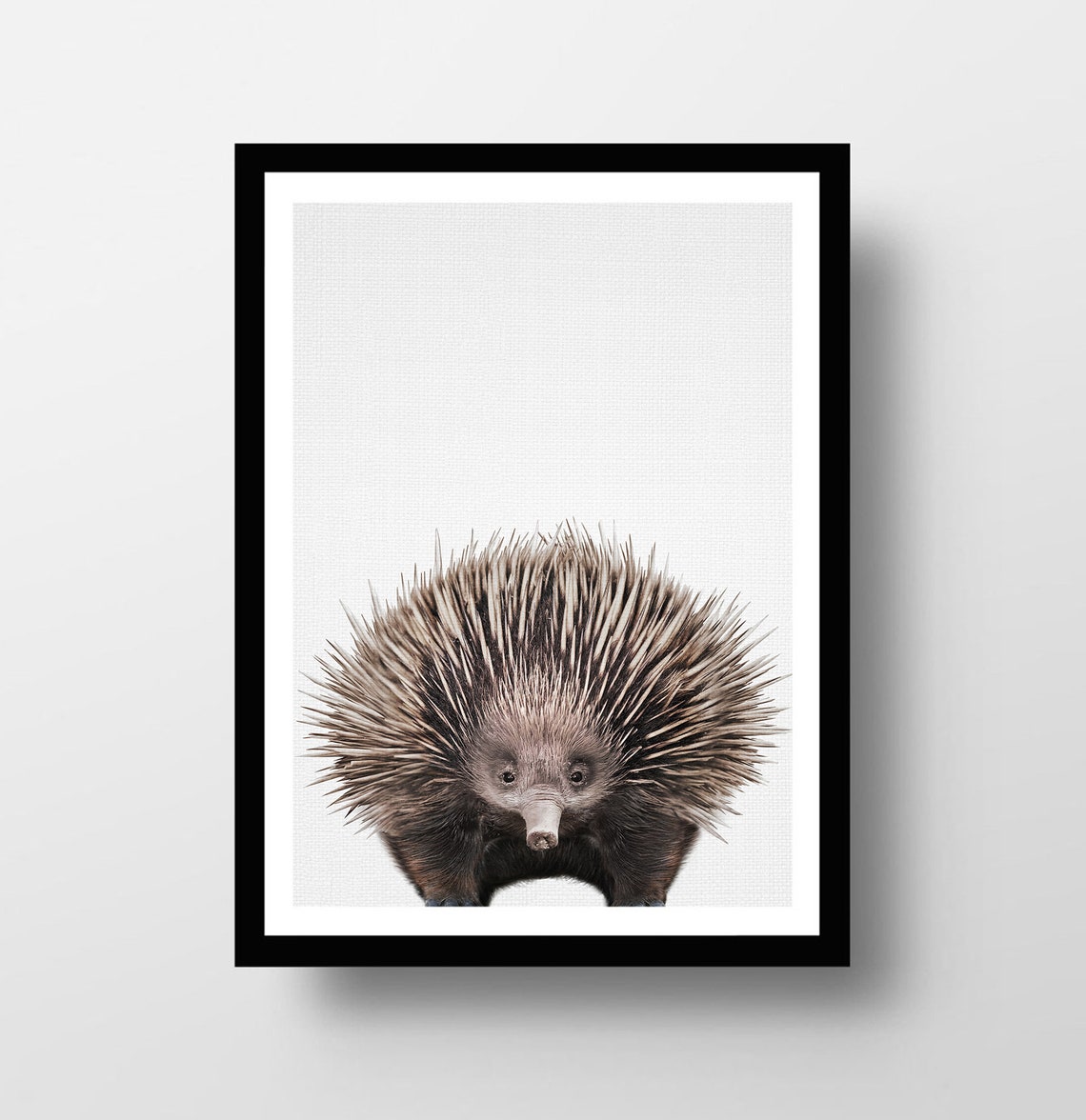 Echidna Print Printable Echidna Australian Animal Print - Etsy