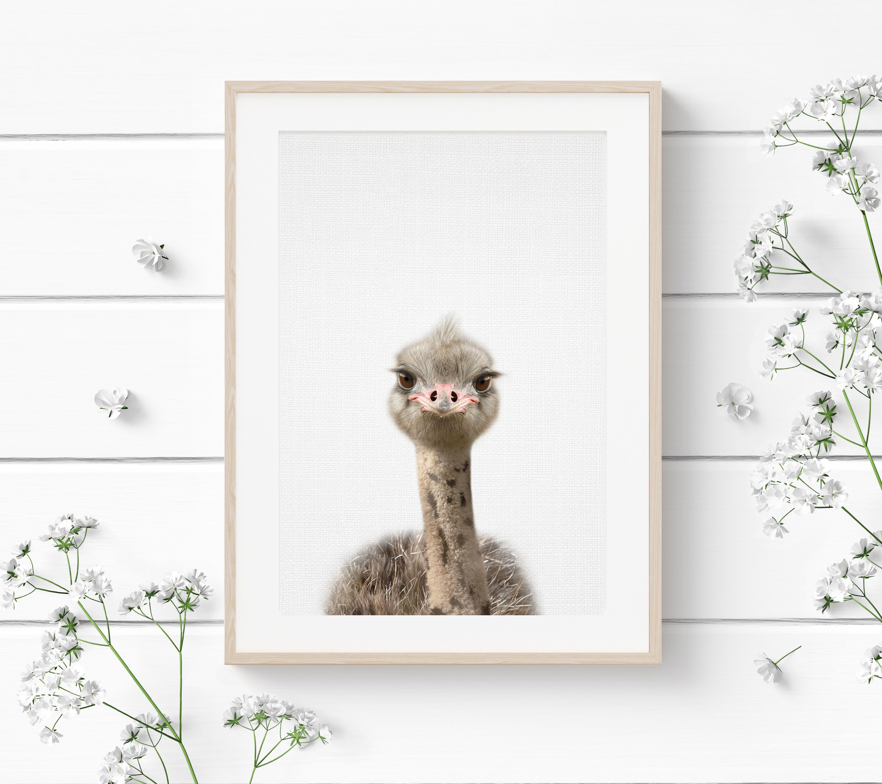Baby Emu Print Australian Animal Print Australian Bird | Etsy