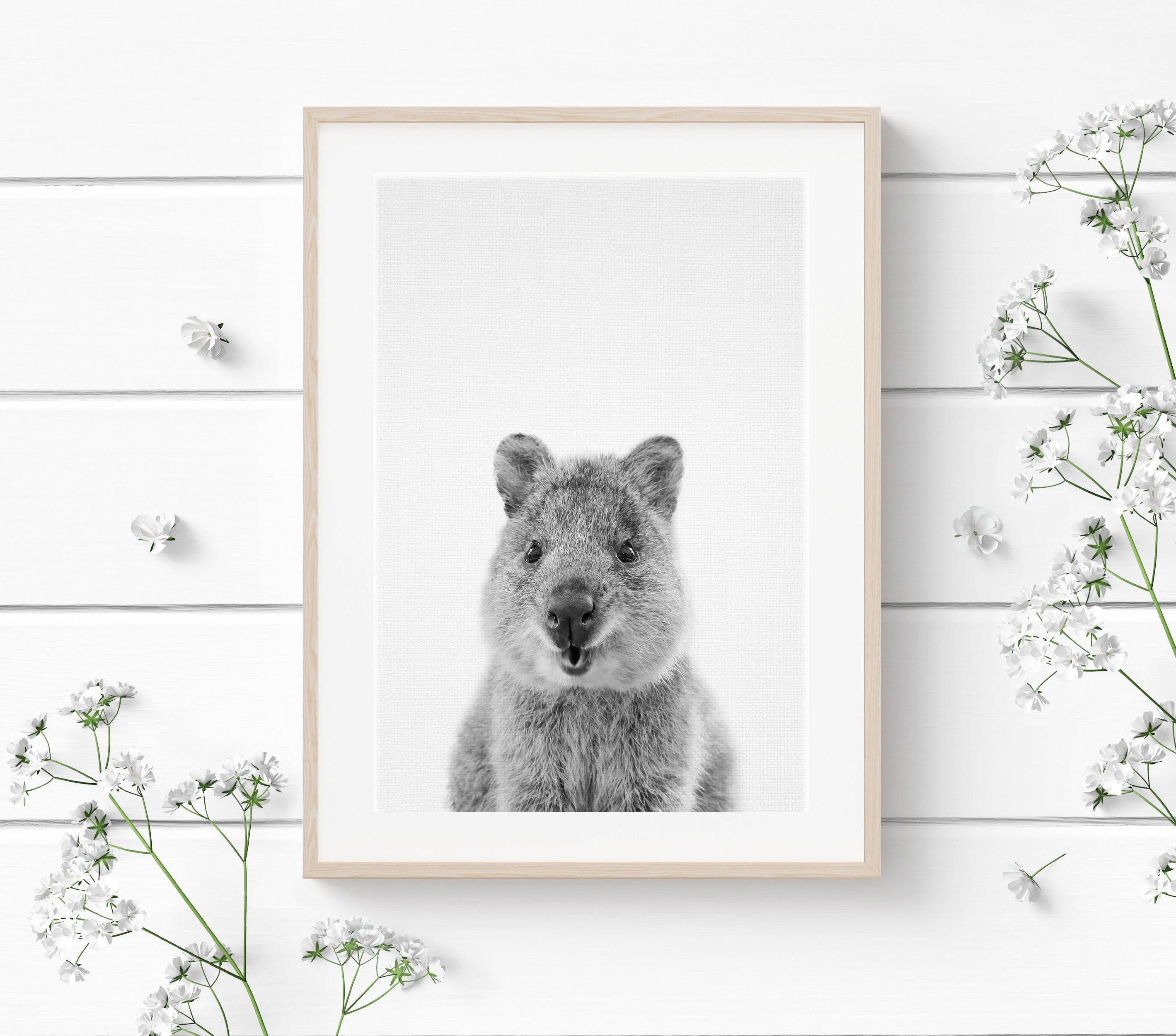 Quokka Print Australian Animal Print Australian Animal Wall - Etsy