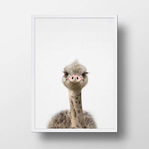 Baby Emu Print, Australian Animal Print, Australian Bird Print ...