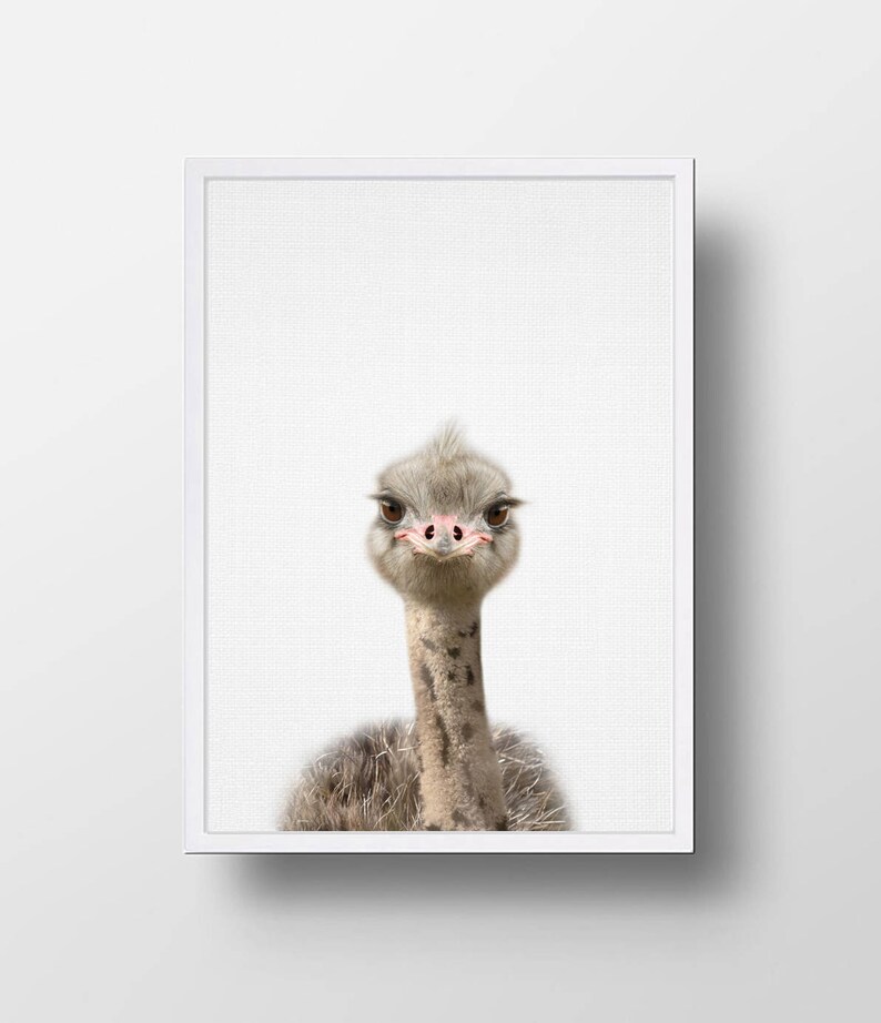 Baby Emu Print Australian Animal Print Australian Bird | Etsy