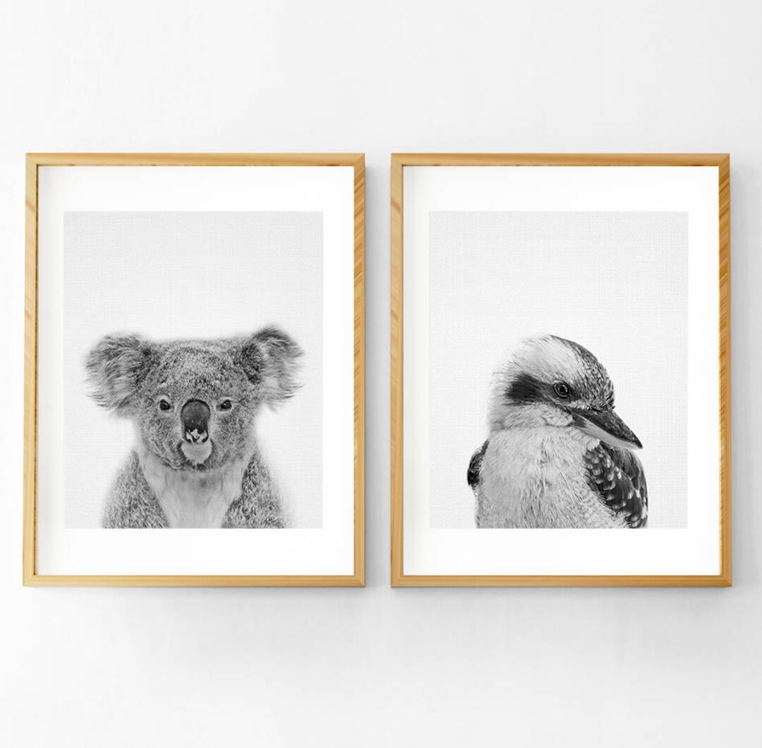 Australian Animal Print, Koala Print, Koala Bear Print, Kookaburra ...