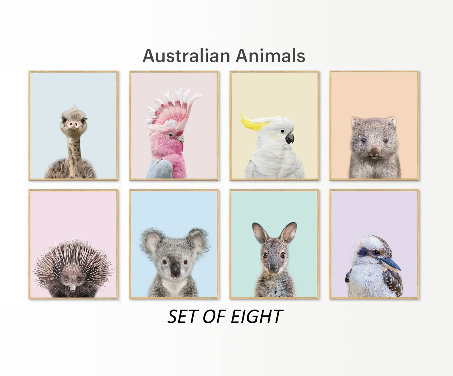 Australian Animal Print Baby Koala Print Quokka Print | Etsy