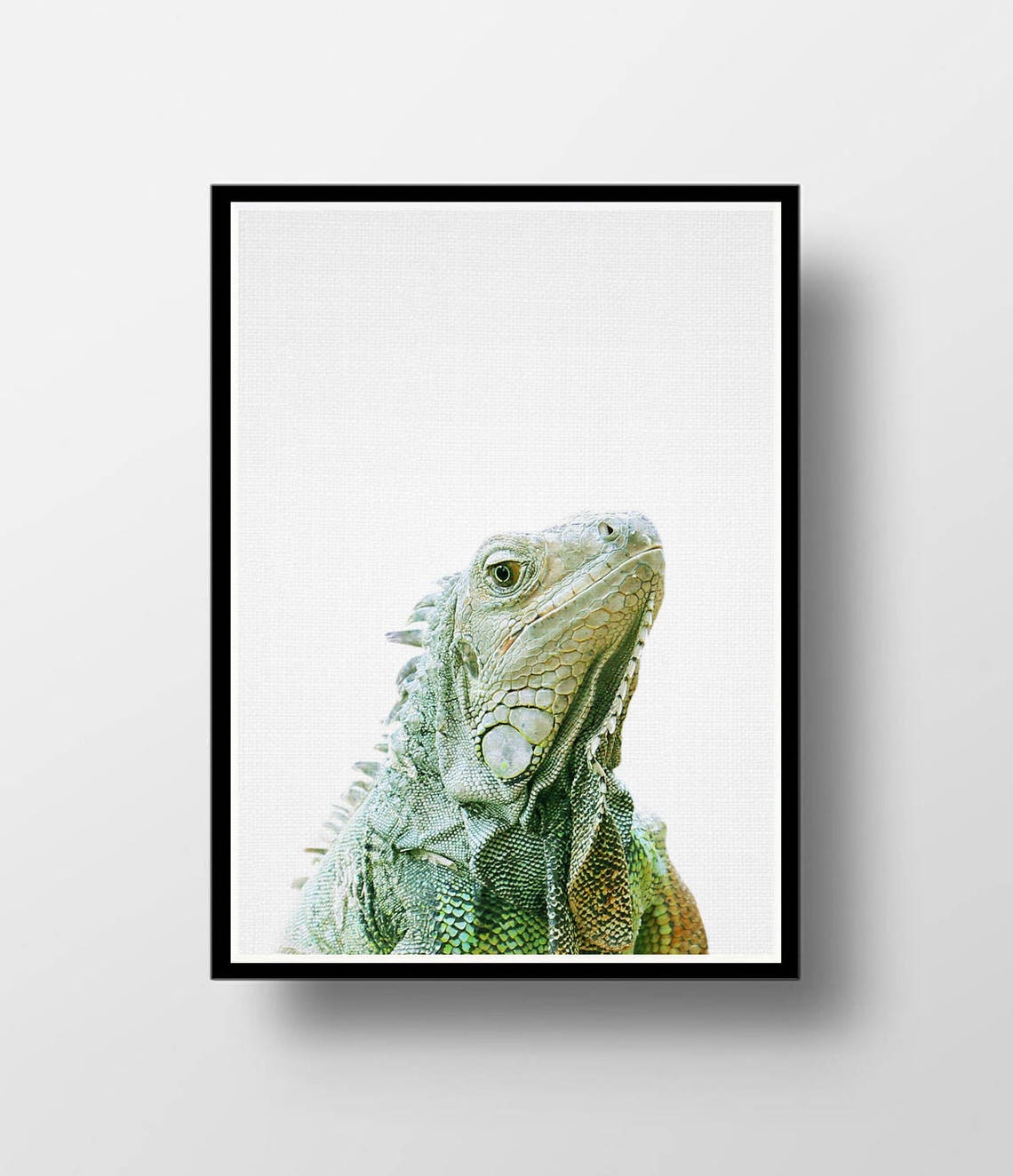 Iguana Print Iguana Wall Art Lizard Print Lizard Wall Art - Etsy