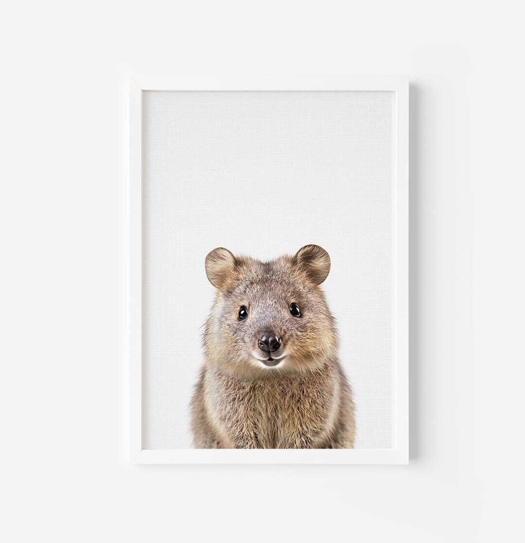 Quokka Print, Australian Animal Print, Kids Room Decor, Nursery Animals ...
