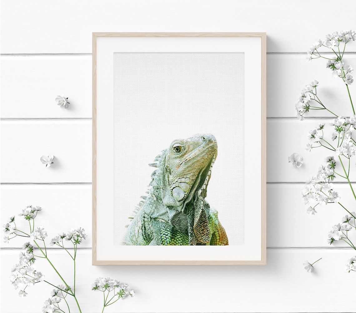 Iguana Print Iguana Wall Art Lizard Print Lizard Wall Art | Etsy