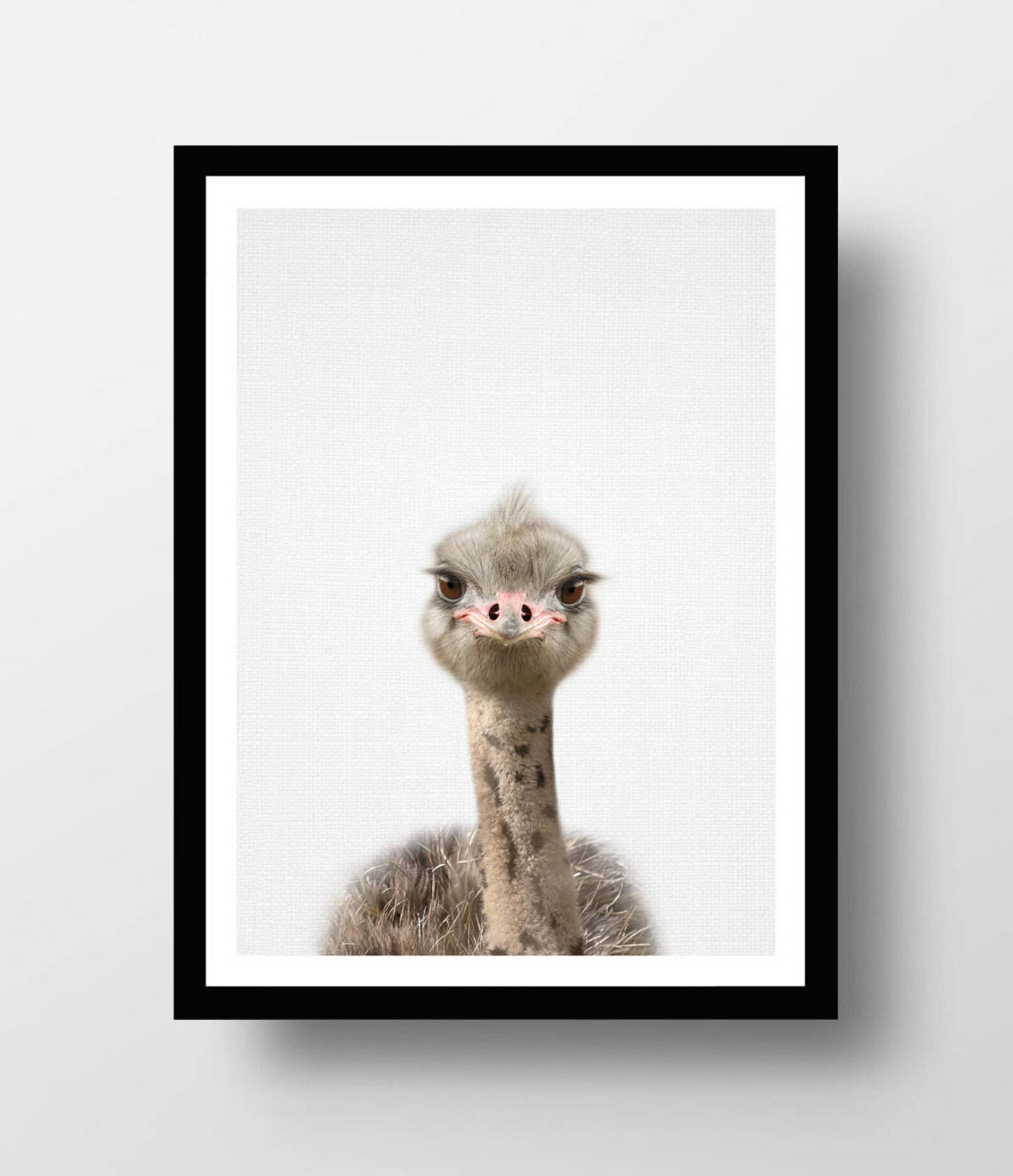Baby Emu Print Australian Animal Print Australian Bird | Etsy
