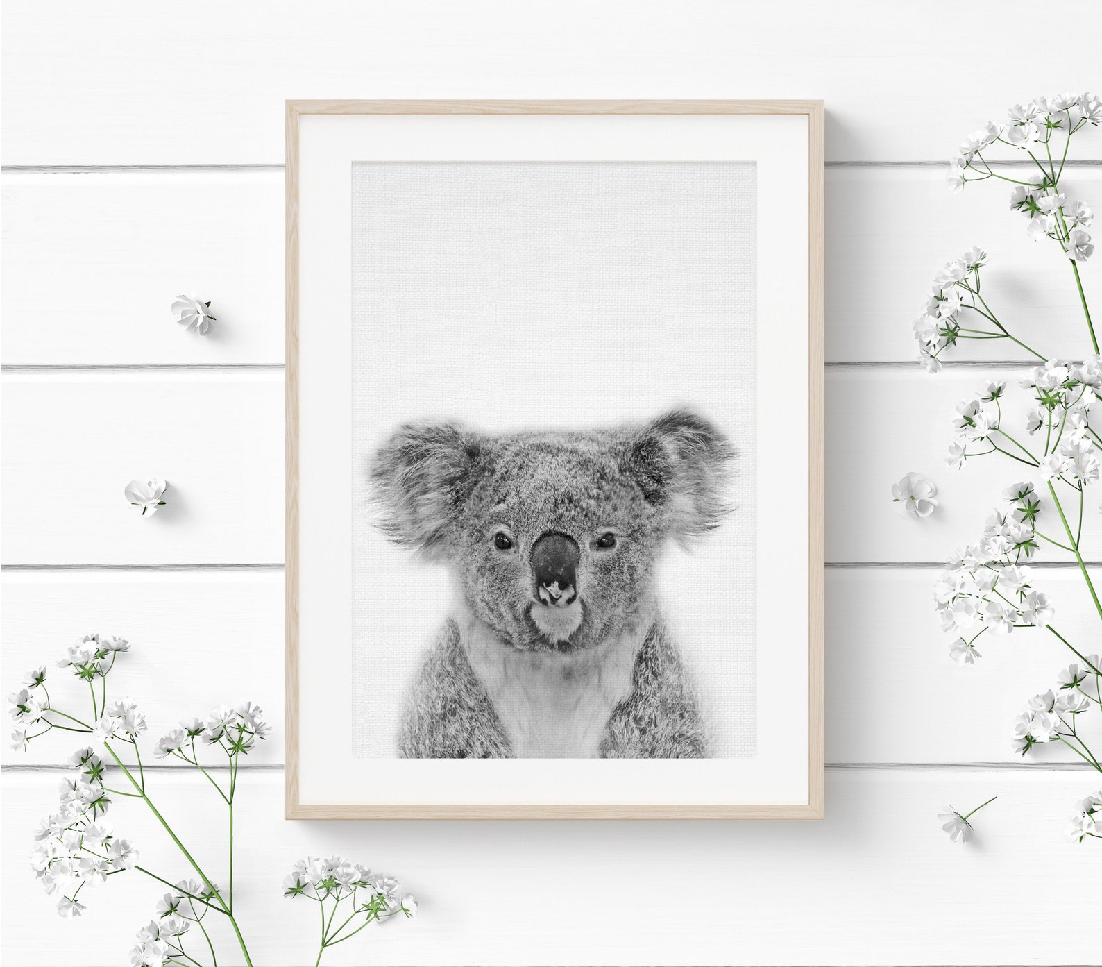 Koala Print Koala Bear Print Nursery Animal Print Nursery - Etsy