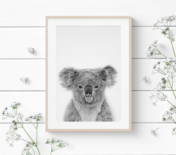 Koala Print Koala Bear Print Nursery Animal Print Nursery | Etsy