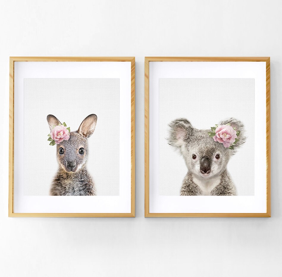 Baby Koala Print Koala Bear Print Nursery Animal Print - Etsy Australia