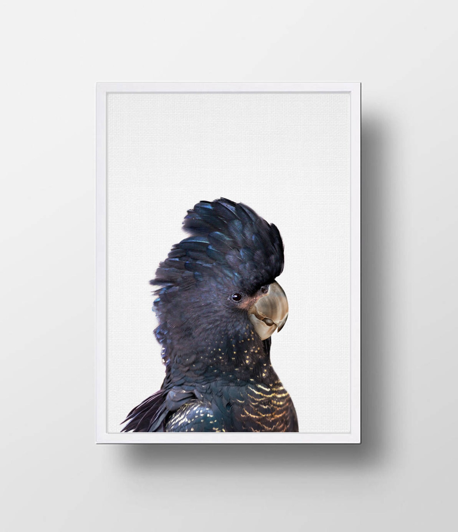 Cockatoo Print Australian Cockatoo Australian Bird Print | Etsy