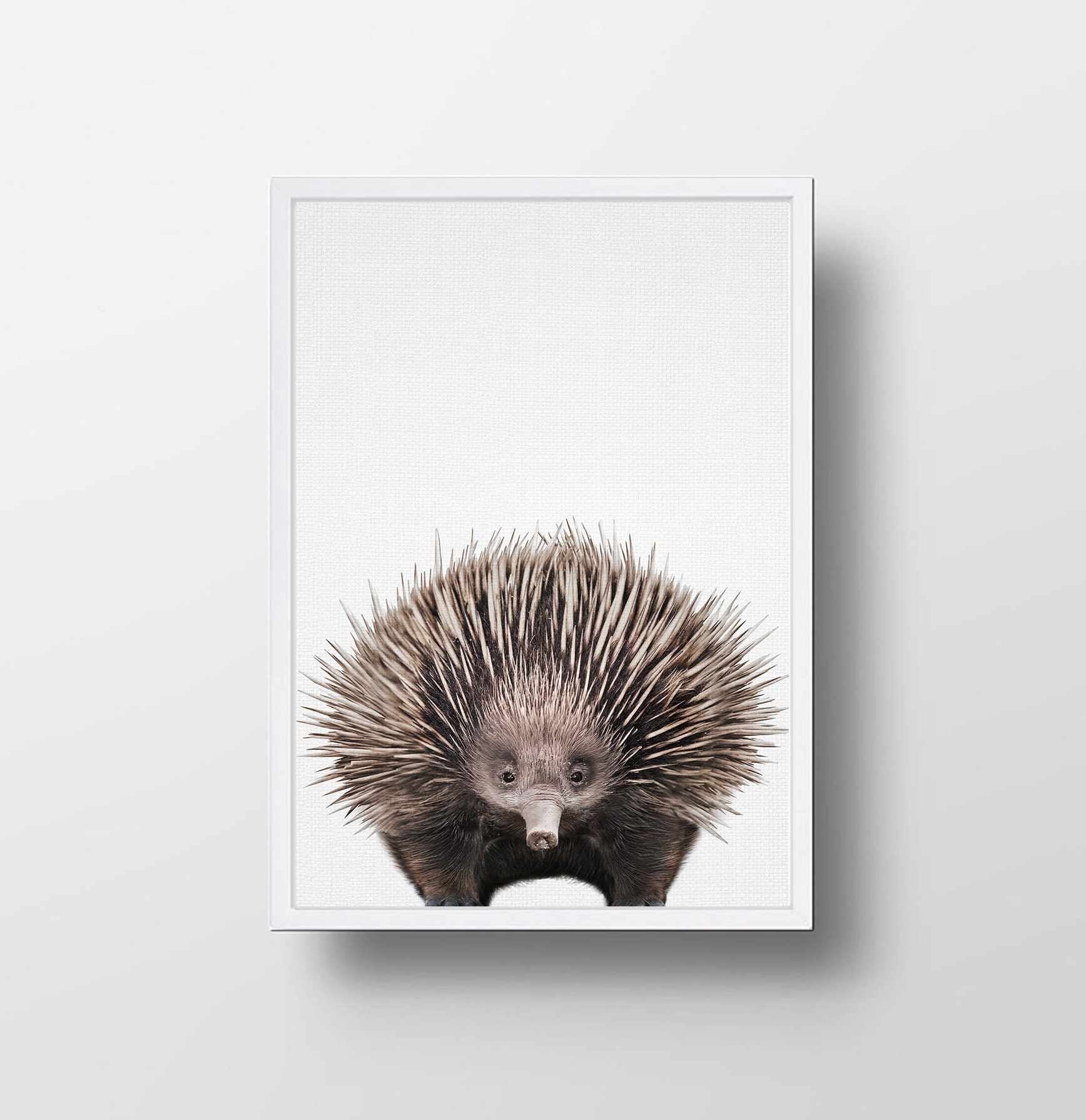 Echidna Print Printable Echidna Australian Animal Print | Etsy