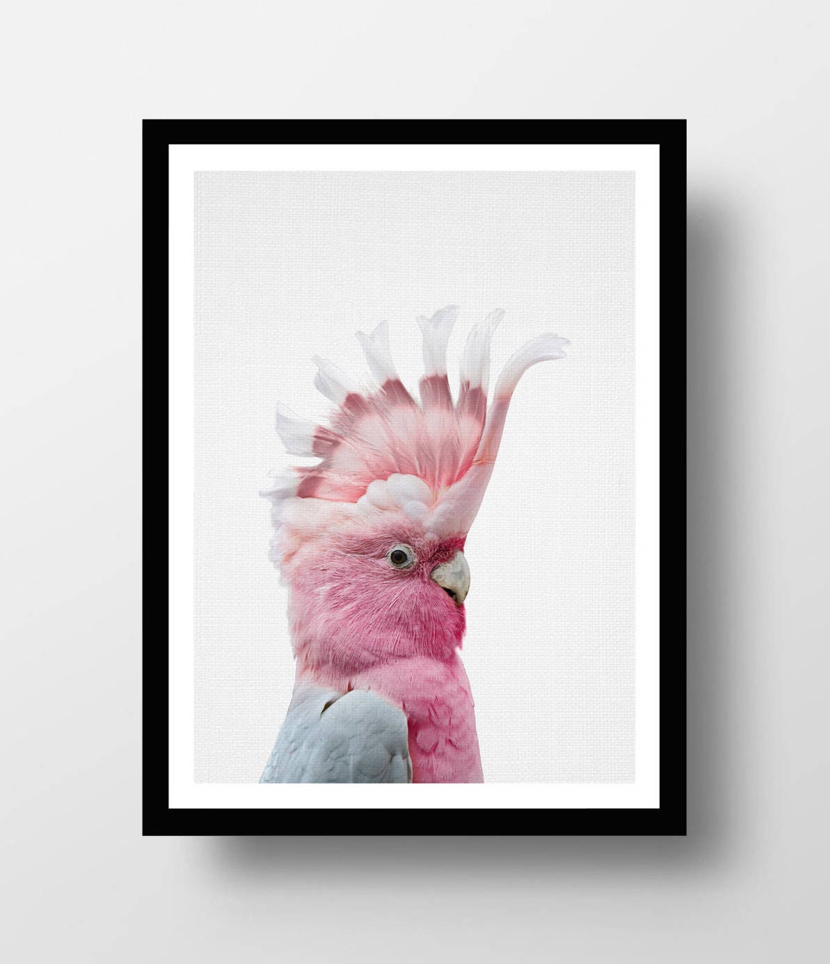 Galah Print Cockatoo Print Australian Bird Print Australian - Etsy