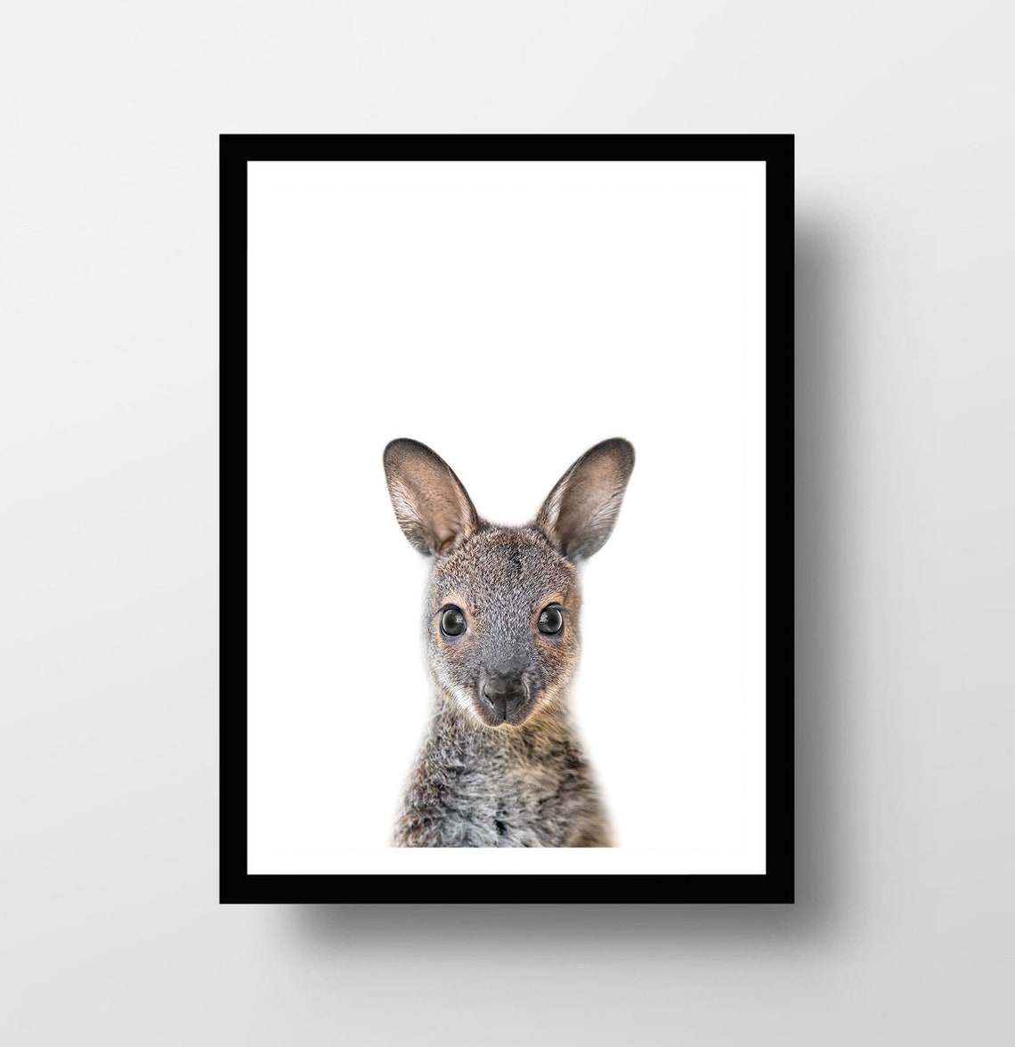 Australian Animal Print Baby Koala Print Kangaroo | Etsy