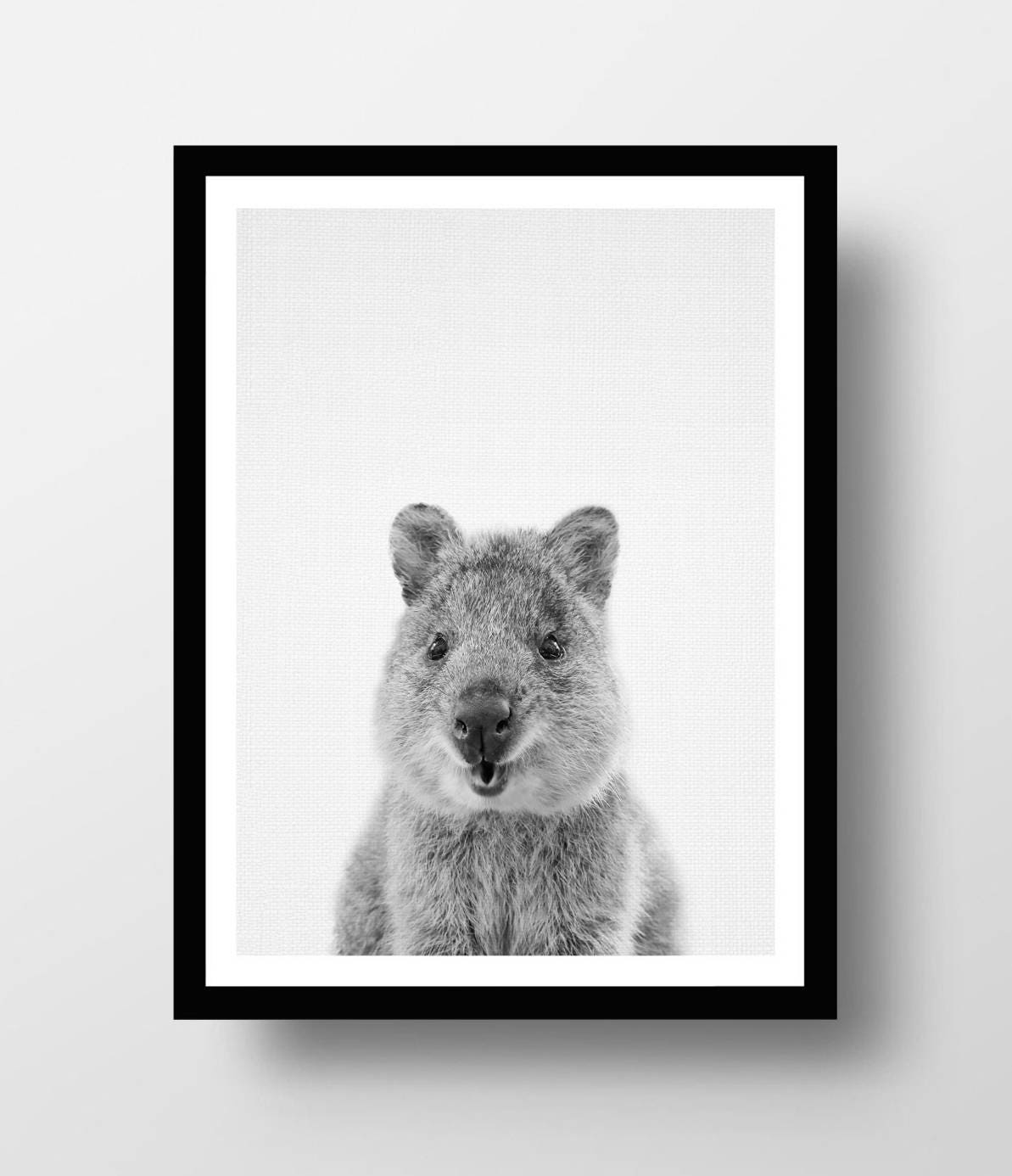 Quokka Print Australian Animal Print Australian Animal Wall - Etsy