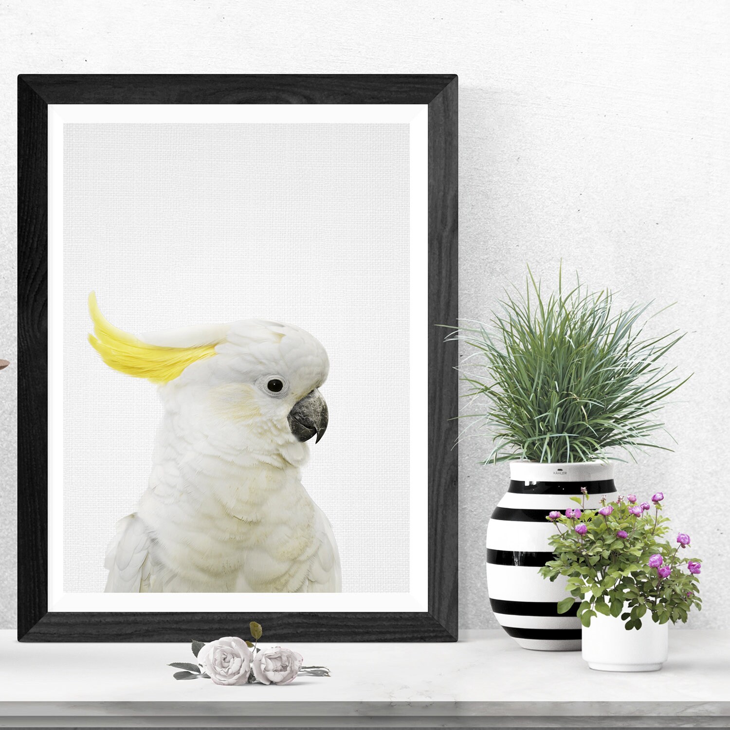 Australian Cockatoo Cockatoo Print Australian Bird Print | Etsy