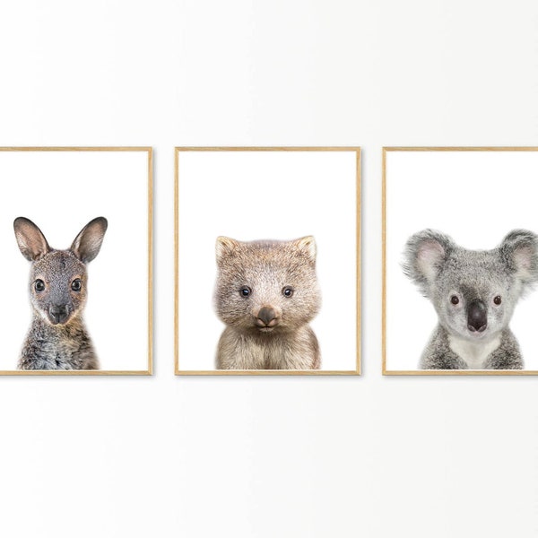 Kangaroo Print - Etsy Australia