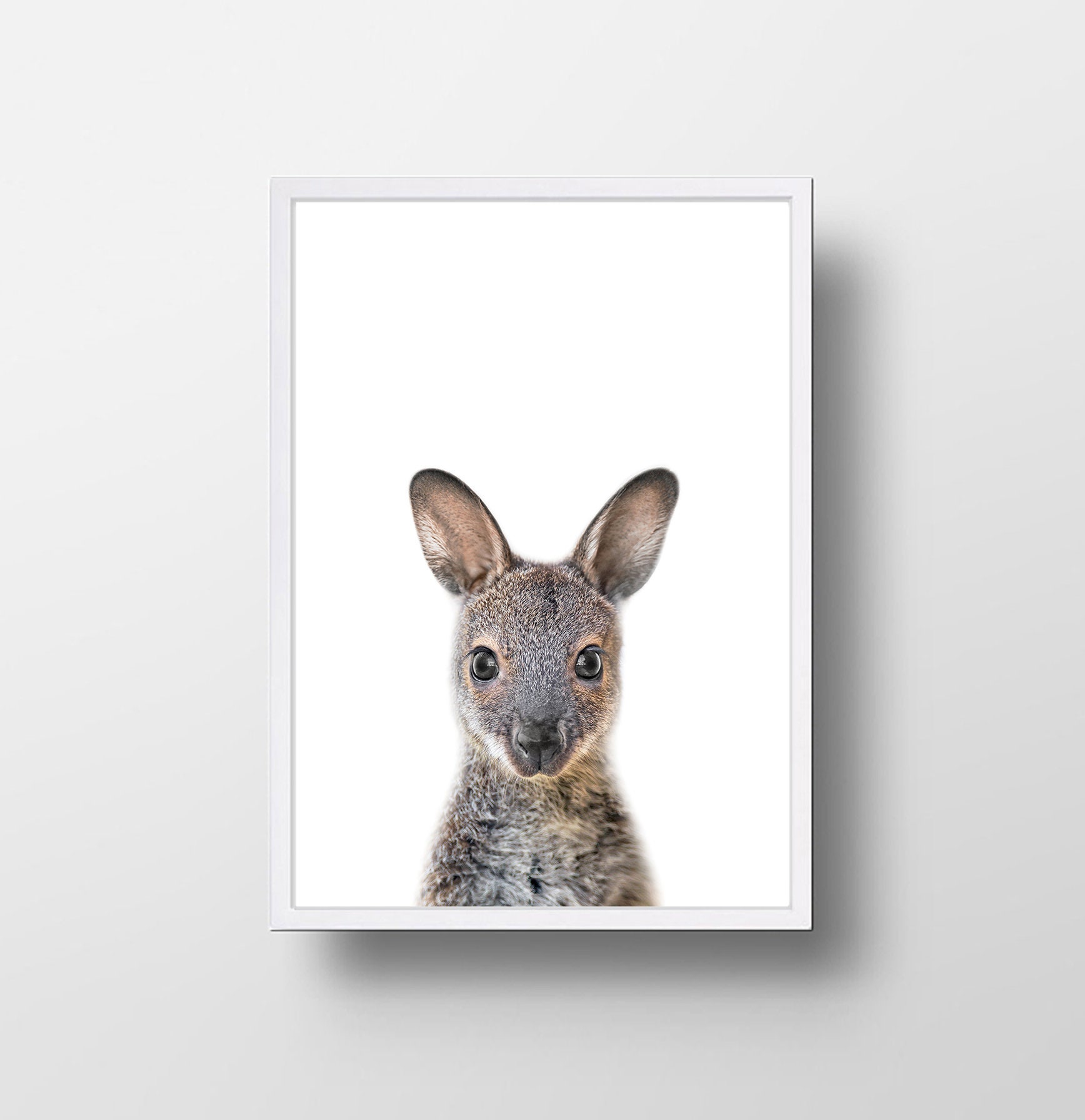Australian Animal Print Baby Koala Print Kangaroo | Etsy