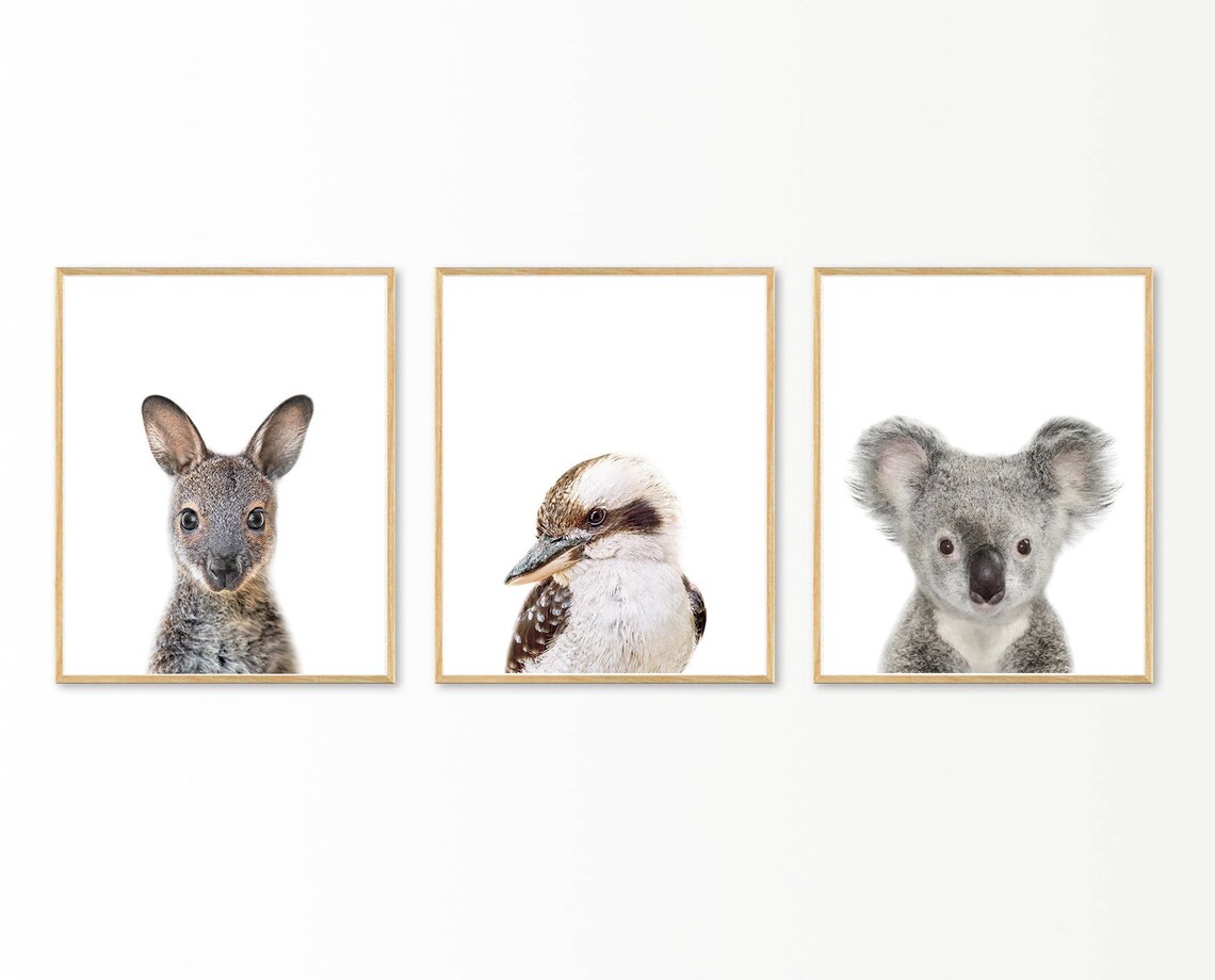 Australian Animal Print Baby Koala Print Kangaroo | Etsy
