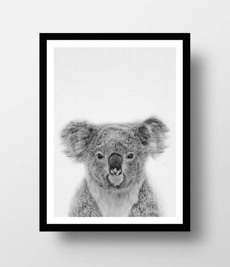 Australian Animal Print Koala Print Koala Bear | Etsy