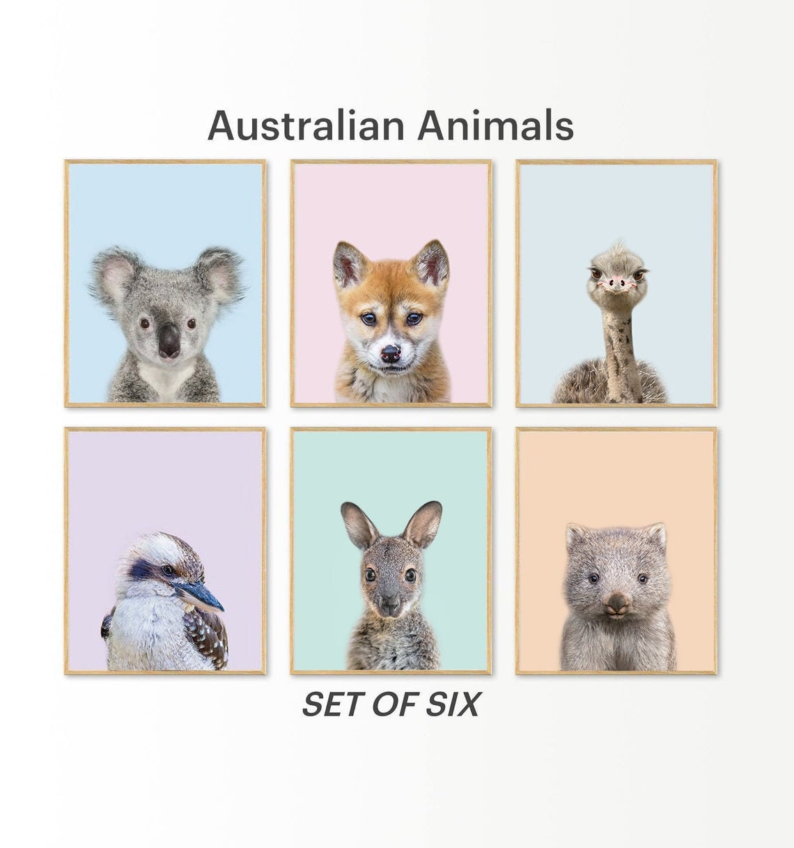 Australian Animal Print Quokka Print Kookaburra Print | Etsy