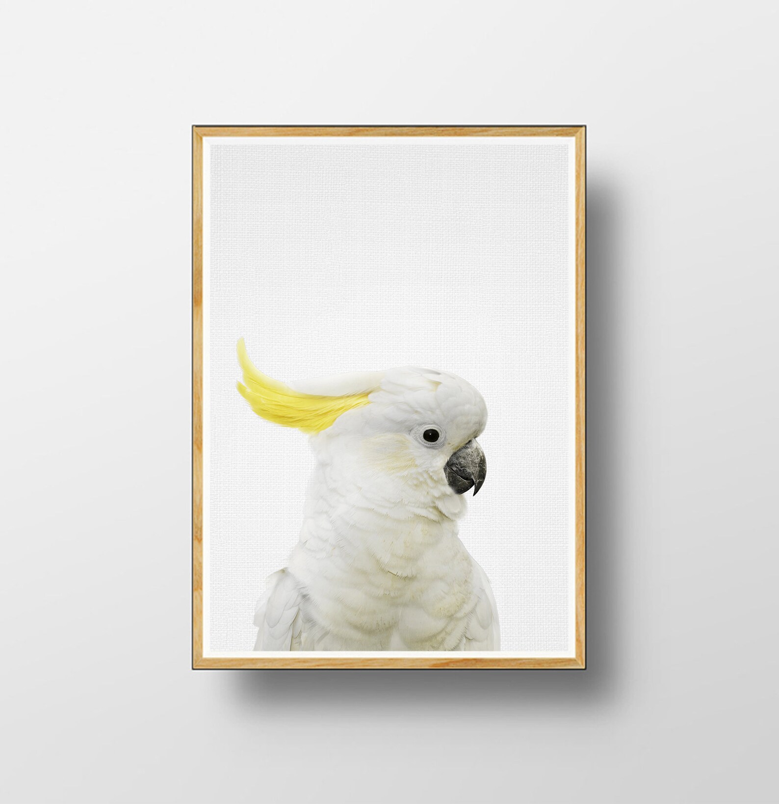 Australian Cockatoo Cockatoo Print Australian Bird Print | Etsy