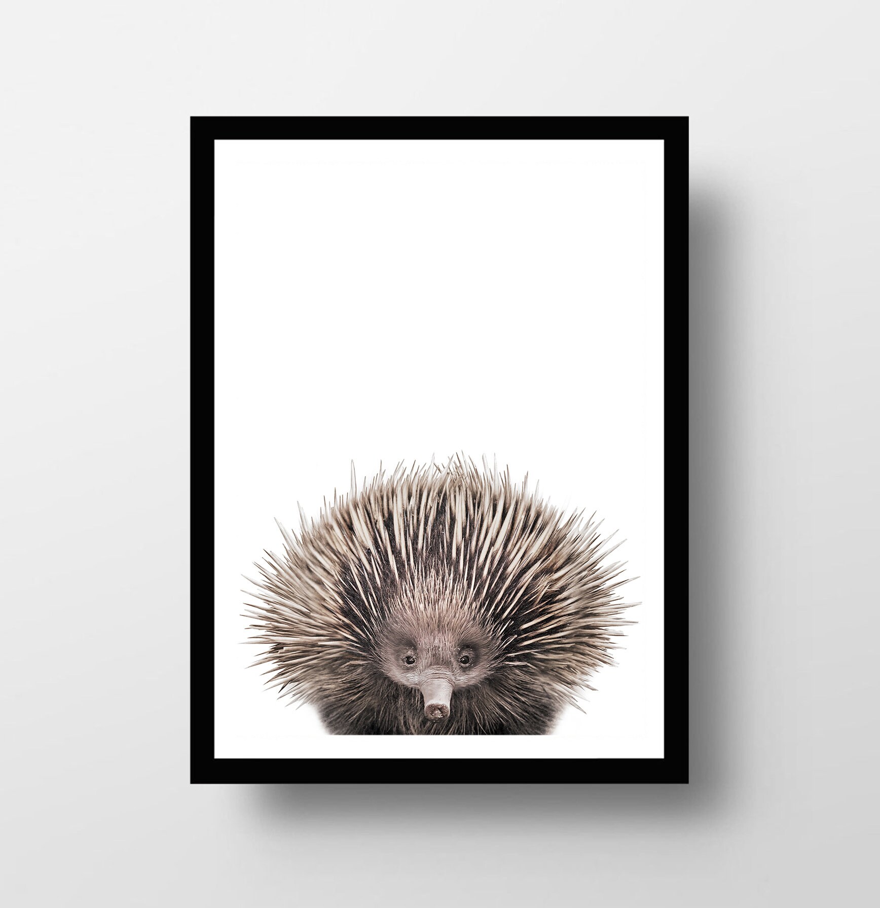 Echidna Print Printable Echidna Australian Animal Print | Etsy