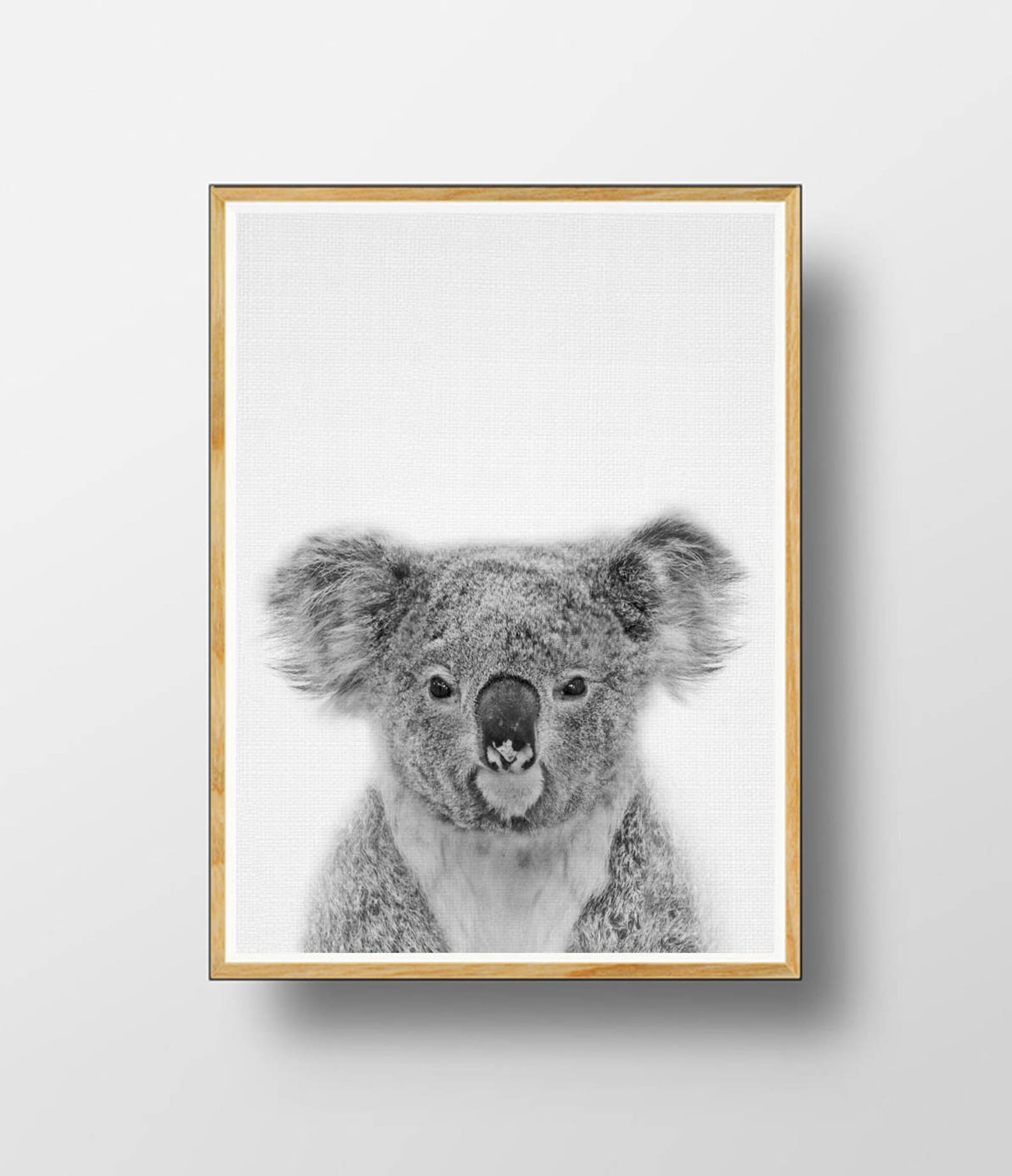Australian Animal Print Koala Print Koala Bear | Etsy