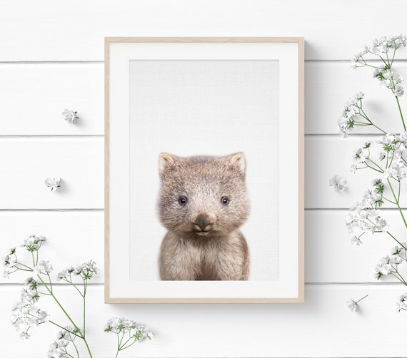Wombat Print Australian Animal Print Nursery Animals | Etsy