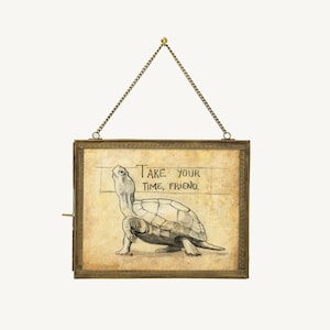 Slow Turtle Art Print - Etsy