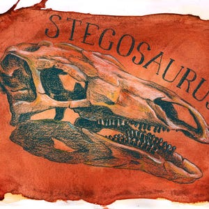 Stegosaurus Skull Art Print - Etsy