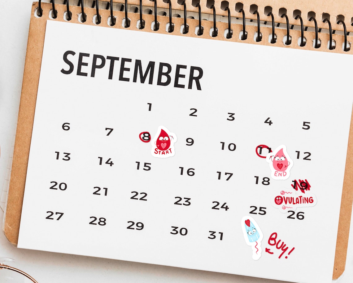 Period Tracker Printable Stickers. Monthly Cycle Planner. Journal ...