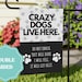 Funny Crazy Dogs Live Here Garden Flag, Dog Lover Gift, Double Sided ...