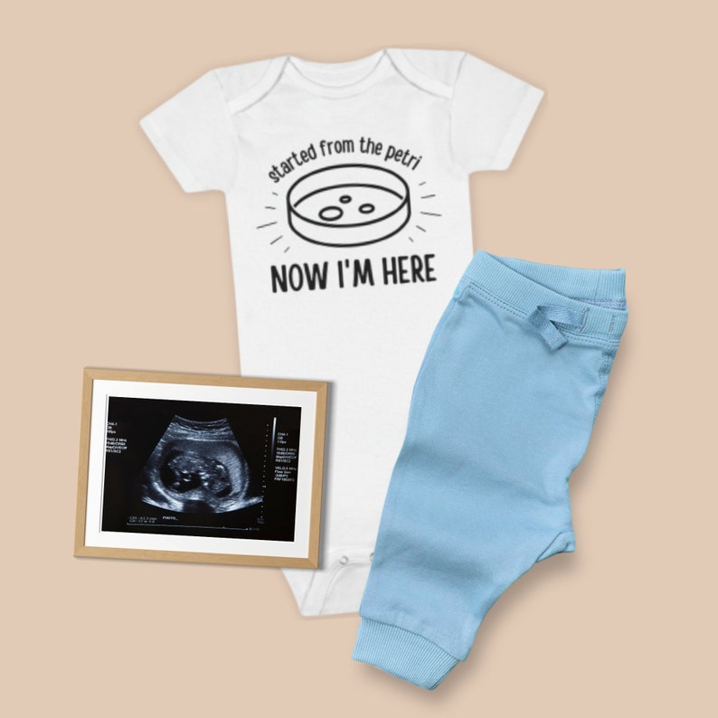 Started From the Petri Now I'm Here | IVF Baby Pregnancy Announcement ...