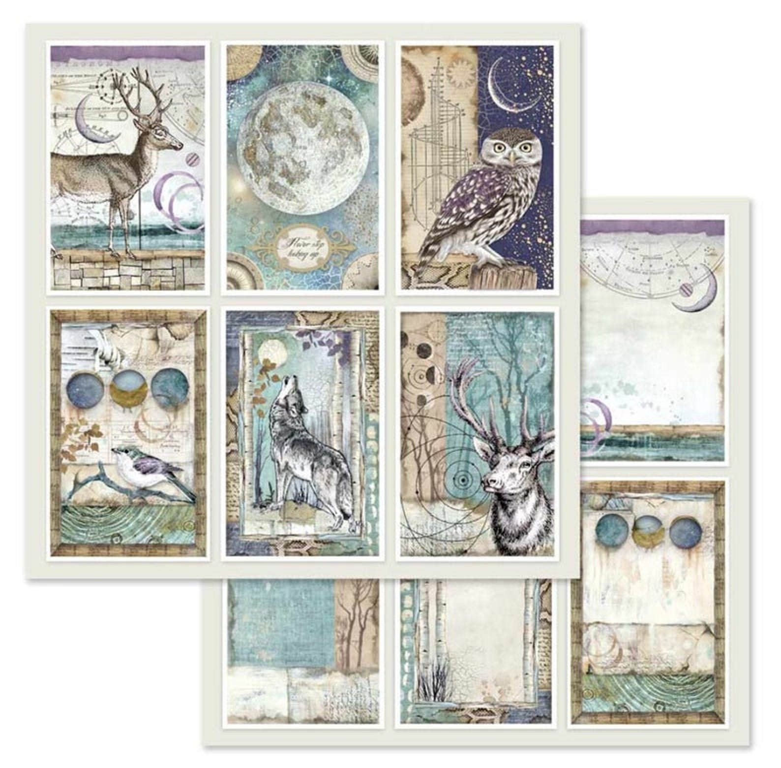 Stamperia 12x12 Cosmos Cardstock Cosmos Collection Double Sided ...